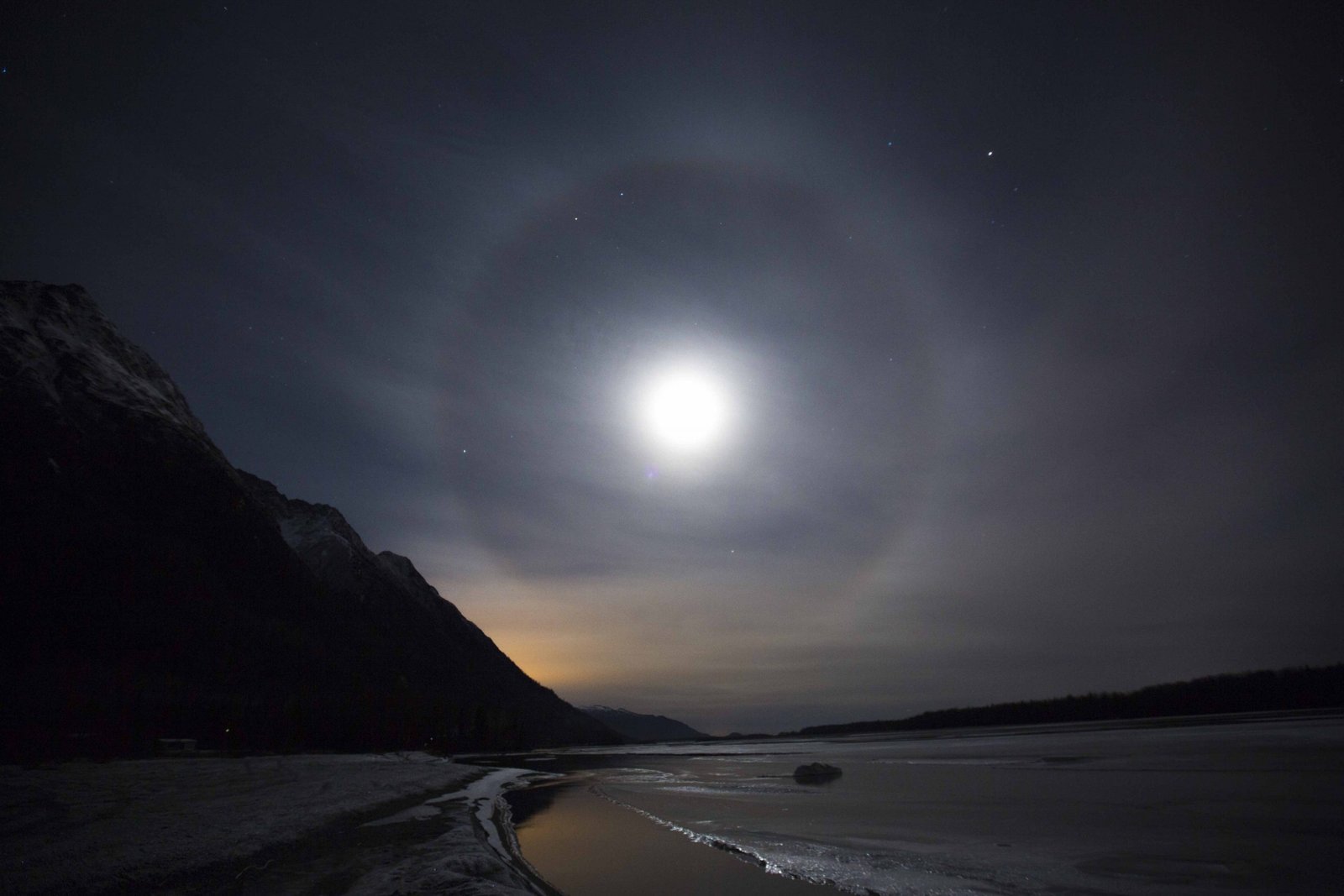 Moonsong Alaska Wildlife Images